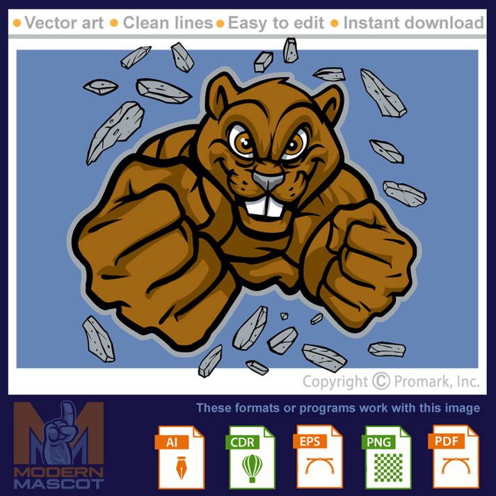 Beaver Muscle 2 -beaver_22_muscle_02 – Modern Mascot and Team Logos